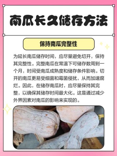长南瓜怎么保存_长南瓜可以生吃吗-第1张图片-山城妙识
