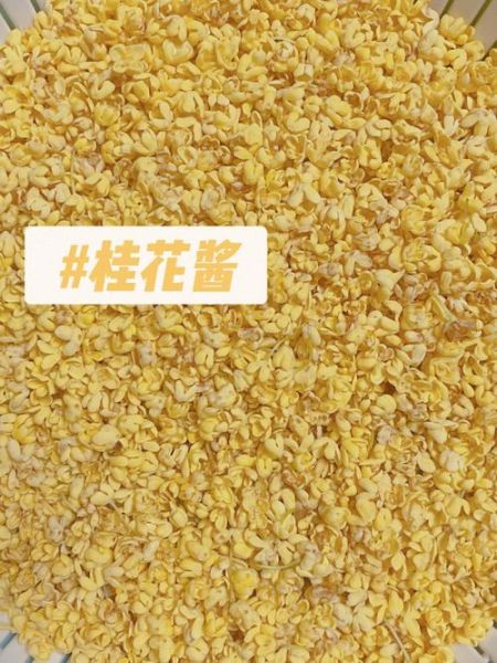 干桂花酱怎么做_桂花酱保存多久-第1张图片-山城妙识