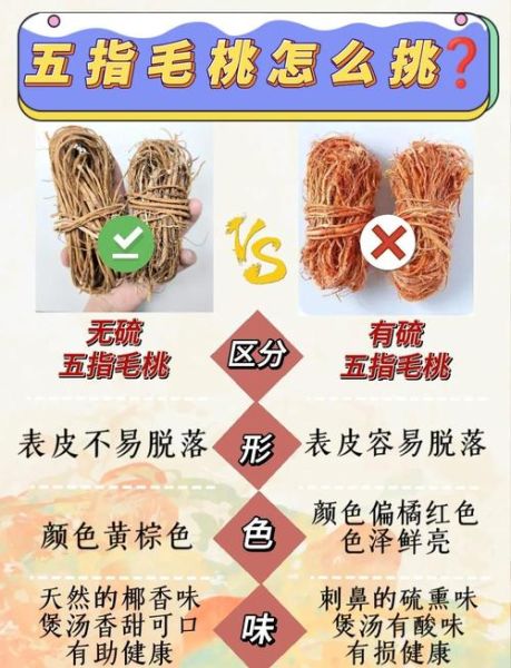 假五指毛桃图片大全_如何辨别真假五指毛桃-第1张图片-山城妙识 假五指毛桃图片大全_如何辨别真假五指毛桃-第1张图片-山城妙识