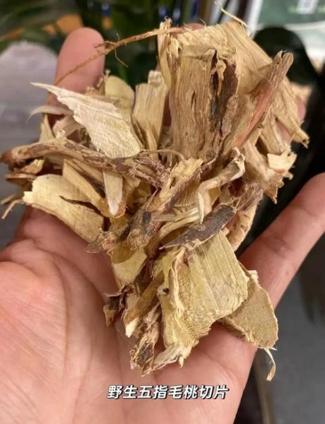 假五指毛桃图片大全_如何辨别真假五指毛桃-第2张图片-山城妙识 假五指毛桃图片大全_如何辨别真假五指毛桃-第2张图片-山城妙识