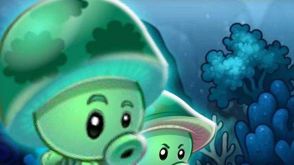 海蘑菇图片大全_海蘑菇长什么样-第3张图片-山城妙识 海蘑菇图片大全_海蘑菇长什么样-第3张图片-山城妙识