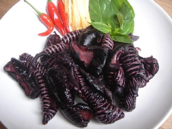 海蘑菇图片大全_海蘑菇长什么样-第2张图片-山城妙识 海蘑菇图片大全_海蘑菇长什么样-第2张图片-山城妙识