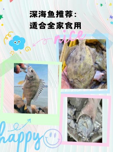 好吃的深海鱼有哪些_深海鱼品种推荐-第1张图片-山城妙识 好吃的深海鱼有哪些_深海鱼品种推荐-第1张图片-山城妙识