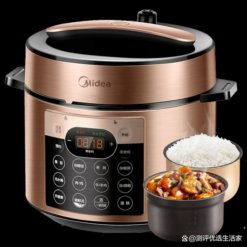 电高压锅哪个牌子质量好_电高压锅选购技巧-第1张图片-山城妙识