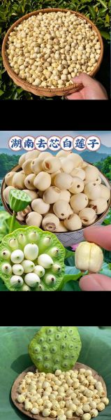 莲子图片大全大图_莲蓬莲子怎么保存-第2张图片-山城妙识