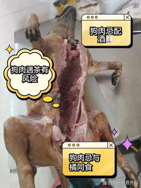 狗肉不能和什么一起吃_吃狗肉有哪些禁忌-第3张图片-山城妙识