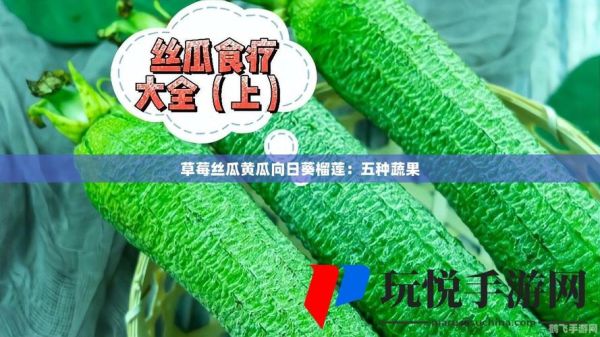 草莓丝瓜向日葵黄瓜榴莲ios怎么选_哪个更好用-第2张图片-山城妙识 草莓丝瓜向日葵黄瓜榴莲ios怎么选_哪个更好用-第2张图片-山城妙识