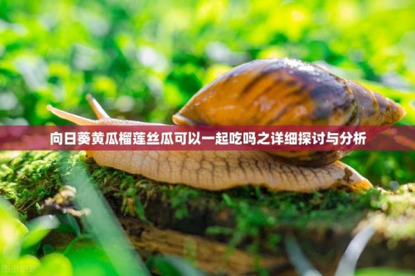 草莓丝瓜向日葵黄瓜榴莲ios怎么选_哪个更好用-第3张图片-山城妙识 草莓丝瓜向日葵黄瓜榴莲ios怎么选_哪个更好用-第3张图片-山城妙识