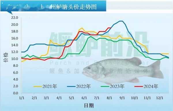 三文鱼价格走势分析_2024年还会涨价吗-第1张图片-山城妙识 三文鱼价格走势分析_2024年还会涨价吗-第1张图片-山城妙识