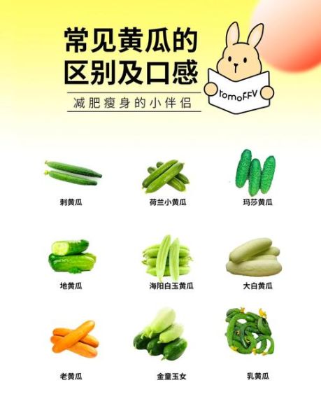 黄瓜图片大全_黄瓜品种有哪些-第1张图片-山城妙识 黄瓜图片大全_黄瓜品种有哪些-第1张图片-山城妙识