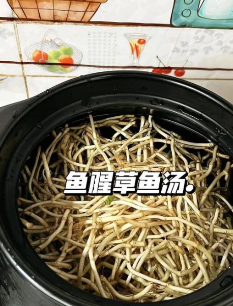 新鲜鱼汤怎么做好吃_鱼汤去腥增鲜的秘诀-第3张图片-山城妙识