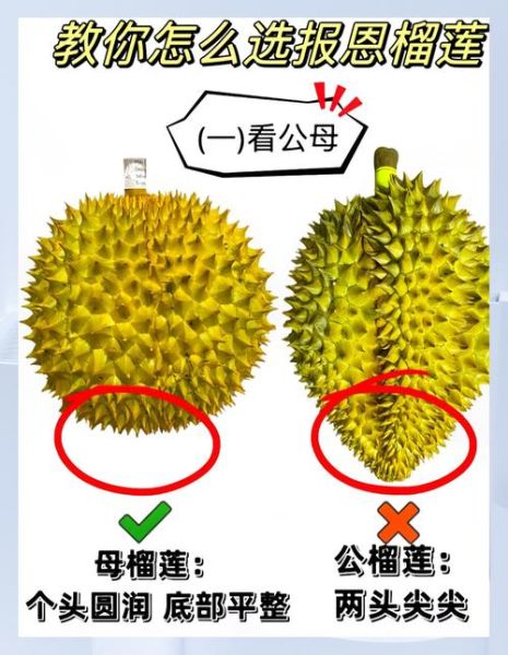 榴莲视频下载安装教程_榴莲视频怎么安装到手机-第3张图片-山城妙识 榴莲视频下载安装教程_榴莲视频怎么安装到手机-第3张图片-山城妙识