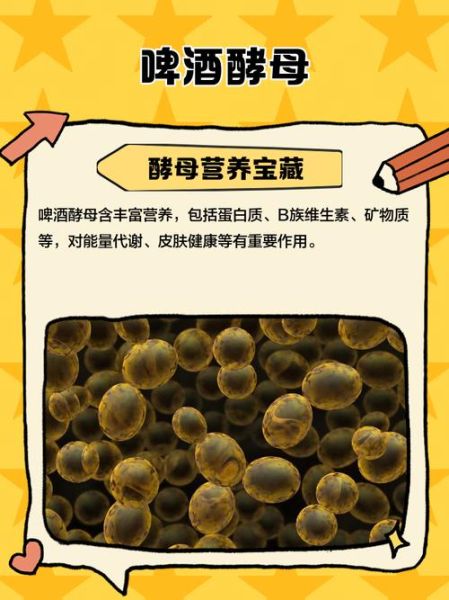 啤酒酵母的作用_啤酒酵母怎么吃-第2张图片-山城妙识 啤酒酵母的作用_啤酒酵母怎么吃-第2张图片-山城妙识