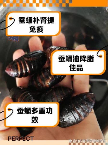 蚕蛹的功效与作用禁忌_蚕蛹什么人不能吃-第3张图片-山城妙识