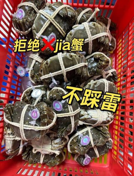 正宗阳澄湖大闸蟹怎么挑选_阳澄湖大闸蟹价格多少钱-第2张图片-山城妙识 正宗阳澄湖大闸蟹怎么挑选_阳澄湖大闸蟹价格多少钱-第2张图片-山城妙识