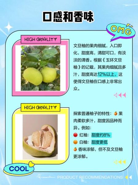 文旦柚怎么挑选_文旦柚和蜜柚的区别-第1张图片-山城妙识