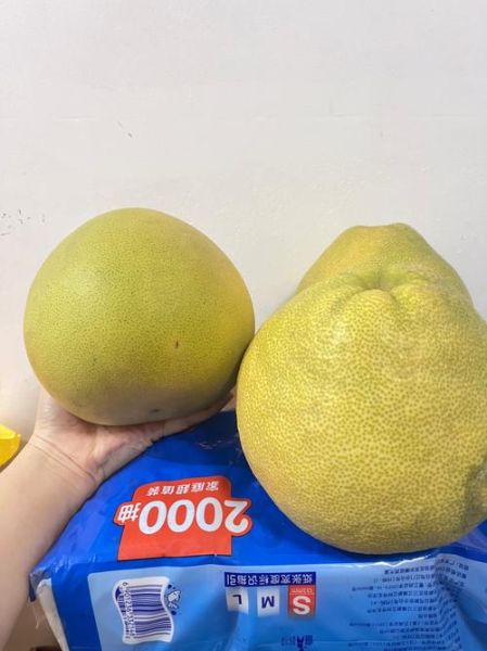 文旦柚怎么挑选_文旦柚和蜜柚的区别-第2张图片-山城妙识