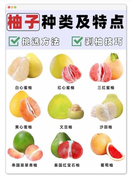 文旦柚怎么挑选_文旦柚和蜜柚的区别-第3张图片-山城妙识