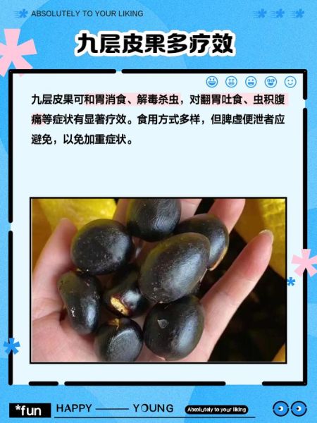 九层皮果的功效与作用_九层皮果怎么吃效果最好-第1张图片-山城妙识 九层皮果的功效与作用_九层皮果怎么吃效果最好-第1张图片-山城妙识