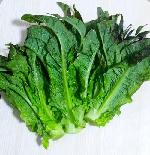 莴笋叶可以吃吗_莴笋叶怎么吃最好-第1张图片-山城妙识
