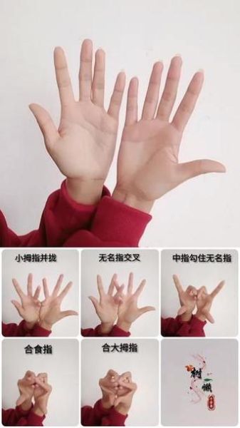 眼镜蛇手势怎么做_眼镜蛇手势正确姿势-第1张图片-山城妙识