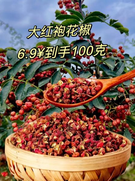 大红袍花椒多少钱一斤_正宗大红袍花椒价格行情-第2张图片-山城妙识 大红袍花椒多少钱一斤_正宗大红袍花椒价格行情-第2张图片-山城妙识