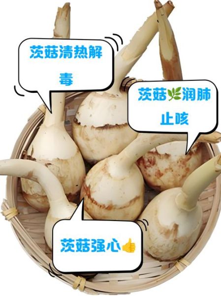 茨菇的功效与作用_茨菇怎么吃最养人-第1张图片-山城妙识