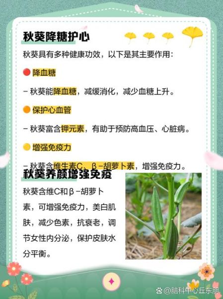 秋葵视频男人_女人美容秘诀有哪些-第1张图片-山城妙识