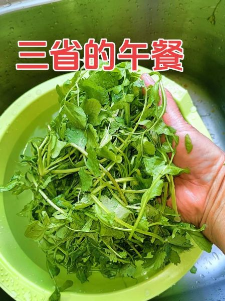 野生荠菜怎么吃_野生荠菜的吃法大全-第1张图片-山城妙识 野生荠菜怎么吃_野生荠菜的吃法大全-第1张图片-山城妙识