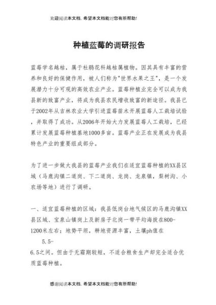 蓝莓种植赚钱吗_蓝莓种植可行性报告-第1张图片-山城妙识 蓝莓种植赚钱吗_蓝莓种植可行性报告-第1张图片-山城妙识