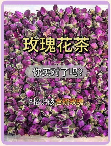 玫瑰花茶的功效与禁忌_适合人群与饮用注意事项-第3张图片-山城妙识 玫瑰花茶的功效与禁忌_适合人群与饮用注意事项-第3张图片-山城妙识