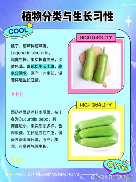 瓠子是西葫芦吗_区别与吃法全解析-第1张图片-山城妙识