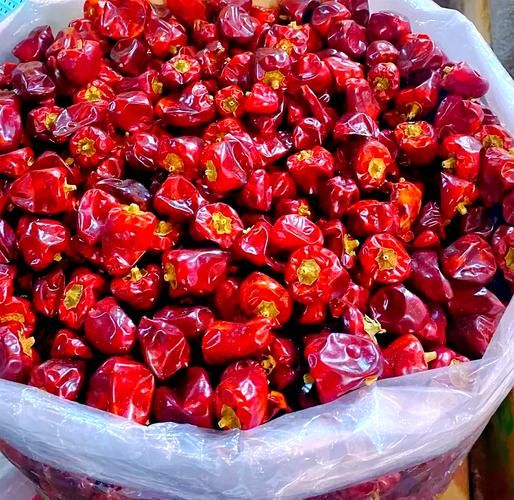 灯笼椒辣度是多少_灯笼椒辣不辣-第1张图片-山城妙识