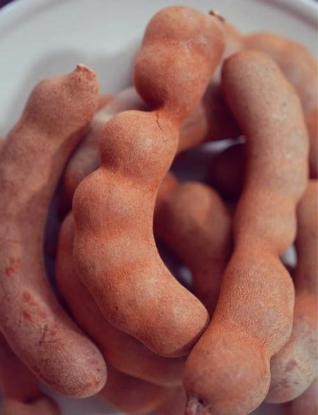 甜角和酸角的区别_哪个更好吃-第3张图片-山城妙识 甜角和酸角的区别_哪个更好吃-第3张图片-山城妙识