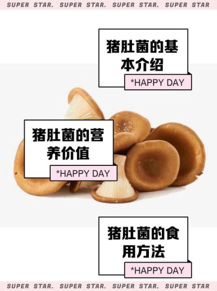 猪肚菌怎么做好吃_猪肚菌的做法大全-第1张图片-山城妙识 猪肚菌怎么做好吃_猪肚菌的做法大全-第1张图片-山城妙识