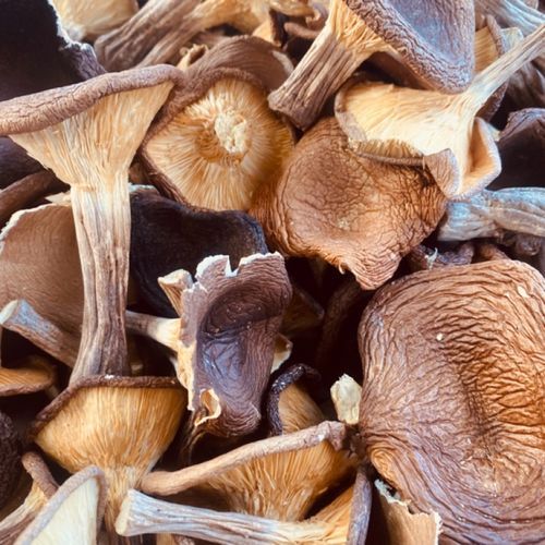 猪肚菌怎么做好吃_猪肚菌的做法大全-第3张图片-山城妙识 猪肚菌怎么做好吃_猪肚菌的做法大全-第3张图片-山城妙识