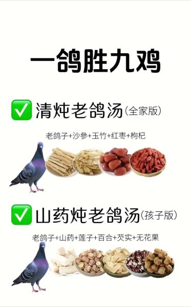 简单炖鸽子汤的做法_鸽子汤怎么炖最营养-第3张图片-山城妙识 简单炖鸽子汤的做法_鸽子汤怎么炖最营养-第3张图片-山城妙识