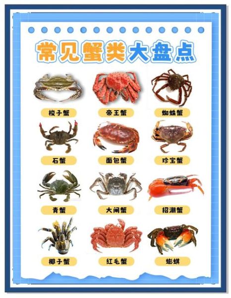 蟹的种类与图片大全_如何分辨常见蟹类-第1张图片-山城妙识 蟹的种类与图片大全_如何分辨常见蟹类-第1张图片-山城妙识