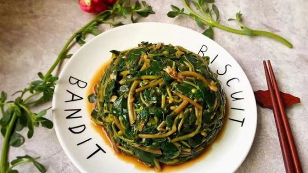 马齿苋是什么菜_马齿苋怎么吃-第2张图片-山城妙识