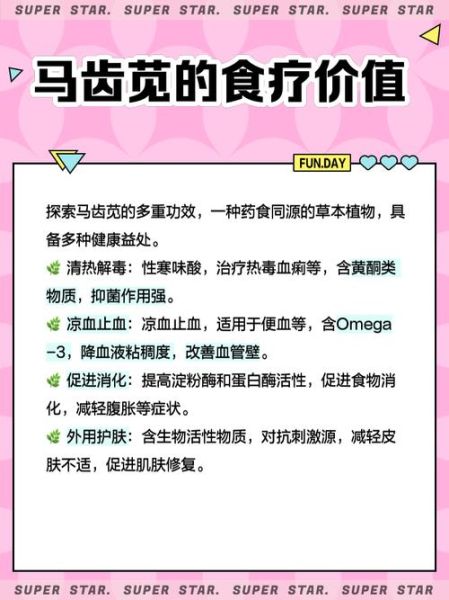 马齿苋是什么菜_马齿苋怎么吃-第1张图片-山城妙识