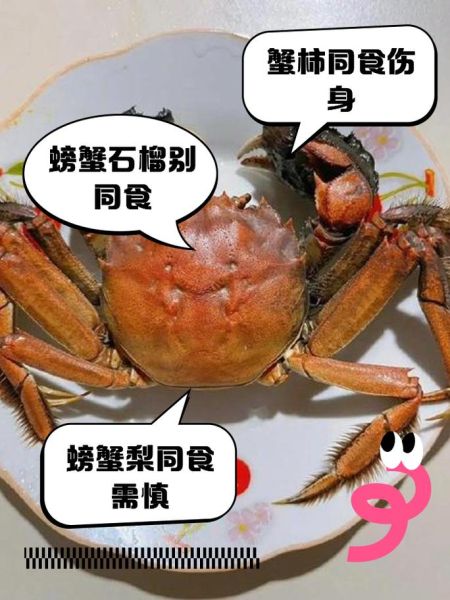 吃螃蟹不能吃什么水果_吃螃蟹的禁忌水果有哪些-第3张图片-山城妙识