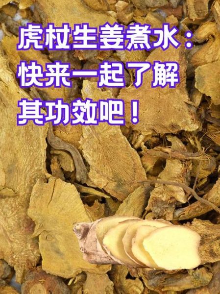 虎杖的功效与作用及食用方法_虎杖怎么吃效果最好-第1张图片-山城妙识