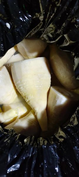 冬笋怎么挑选_冬笋高清图细节解析-第3张图片-山城妙识