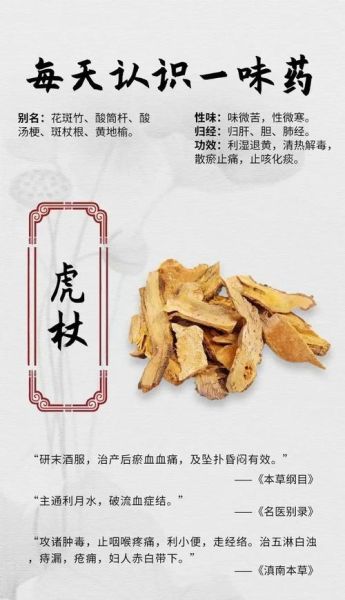 虎杖的功效与作用及食用方法_虎杖怎么吃效果最好-第3张图片-山城妙识
