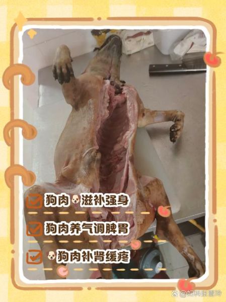 狗肉是发物吗_术后能吃狗肉吗-第1张图片-山城妙识 狗肉是发物吗_术后能吃狗肉吗-第1张图片-山城妙识