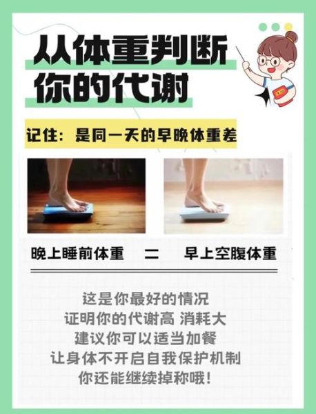 如何提高基础代谢率_基础代谢率计算公式-第2张图片-山城妙识