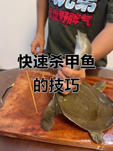 甲鱼是杀死还是烫死好_甲鱼宰杀方法-第3张图片-山城妙识