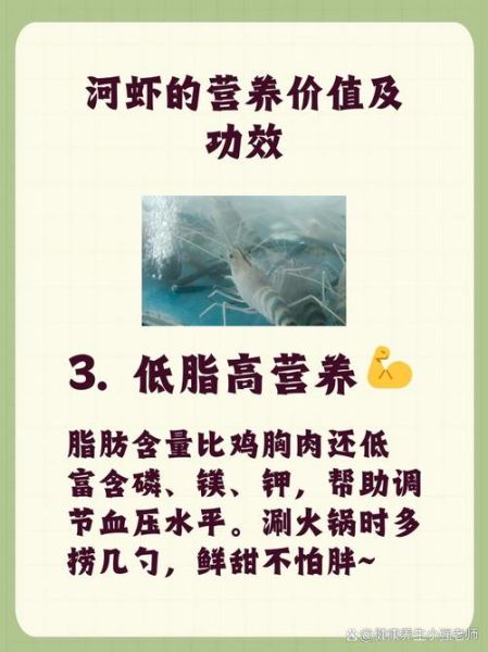 河虾吃什么食物好养活_河虾饲料怎么选-第3张图片-山城妙识 河虾吃什么食物好养活_河虾饲料怎么选-第3张图片-山城妙识