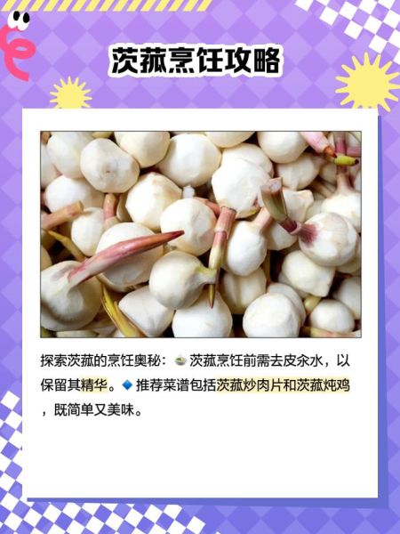 慈姑长什么样_慈姑和茨菰区别-第1张图片-山城妙识 慈姑长什么样_慈姑和茨菰区别-第1张图片-山城妙识