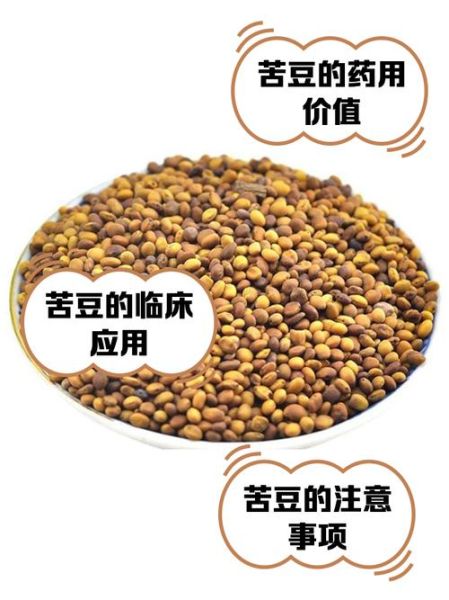 苦豆子怎么吃_苦豆子食用方法大全-第1张图片-山城妙识